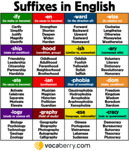 Suffixes in English – Definition, Types, and Examples