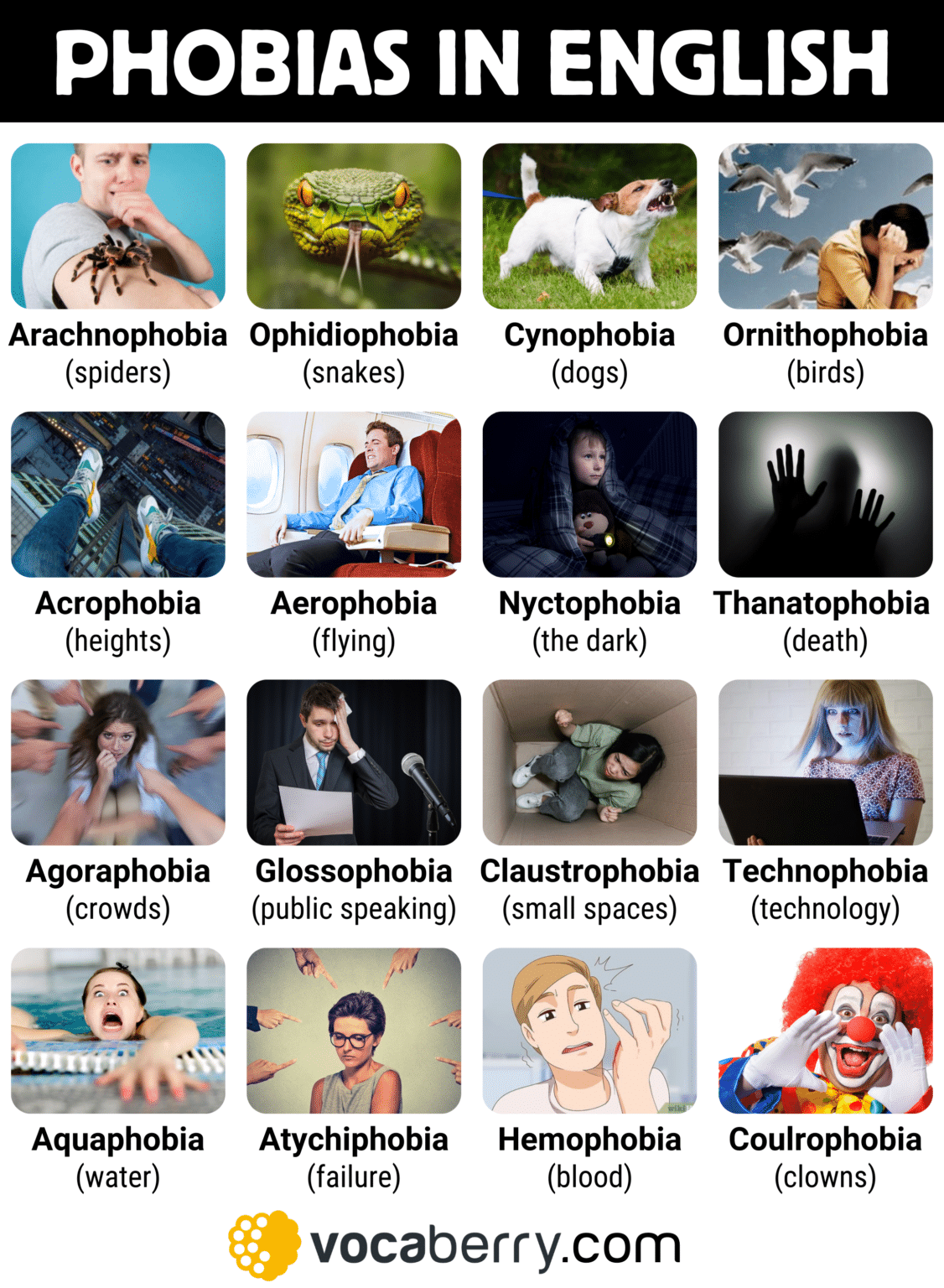Phobias in English – A to Z List with Meanings, Types, and Examples