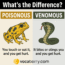 Poisonous vs. Venomous – What’s the Difference?