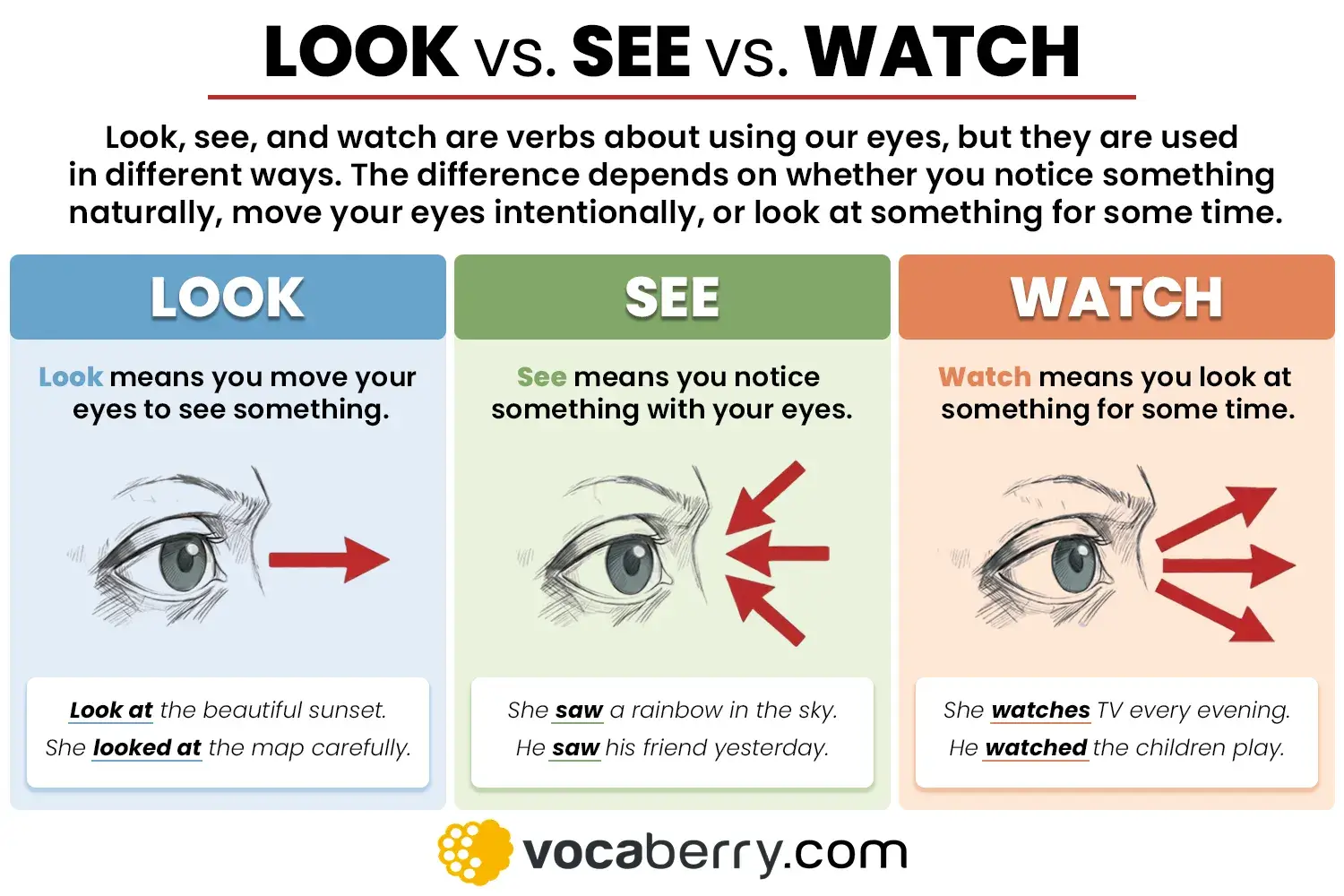 Look vs See vs Watch: What’s the Difference?